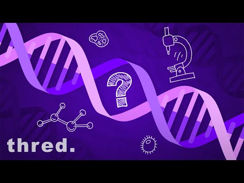 Gene-Editing and Designer Babies Explained