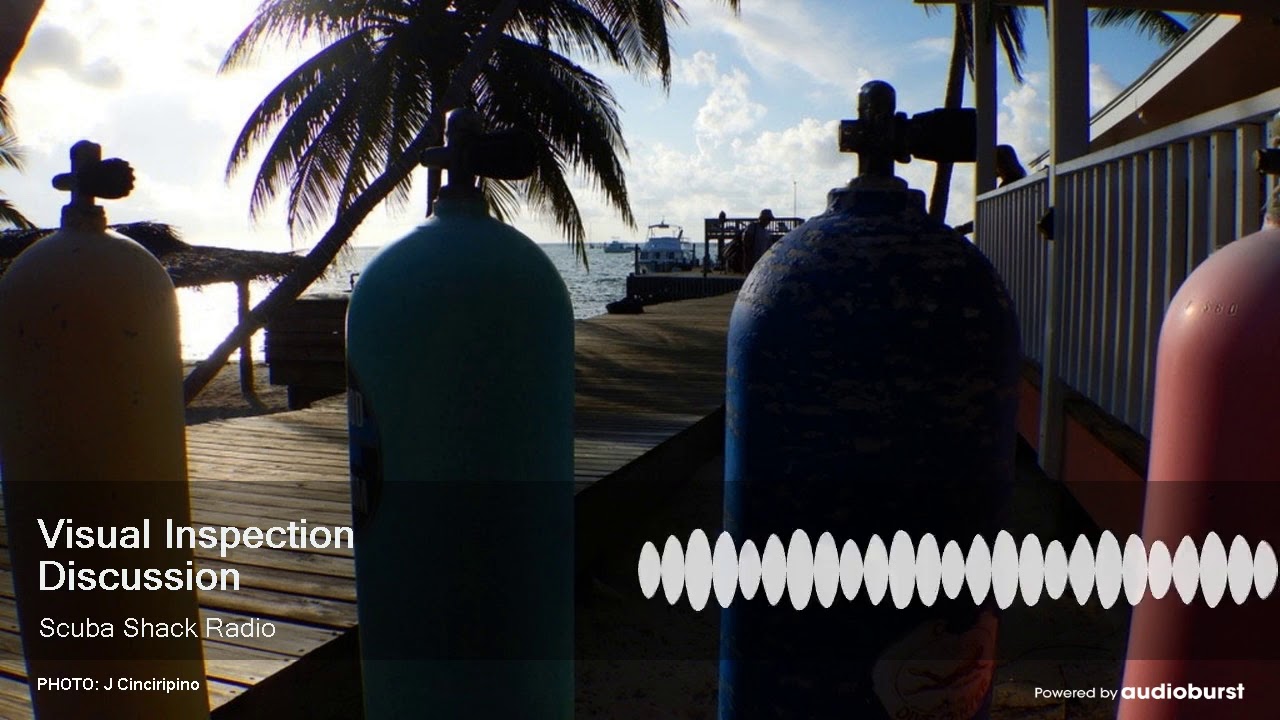 Scuba Tank Visual Inspection History