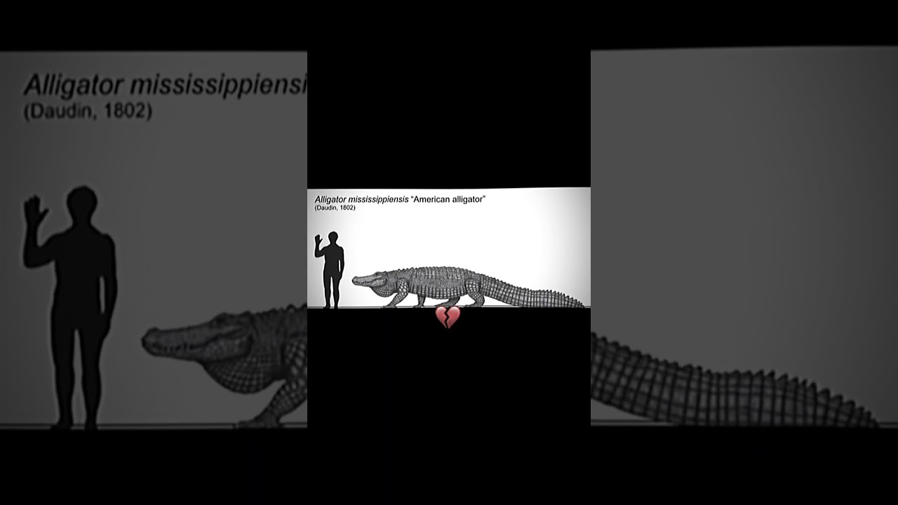 Deinosuchus 💀 #shorts #dinosaur #alligator #deinosuchus #prehistoric