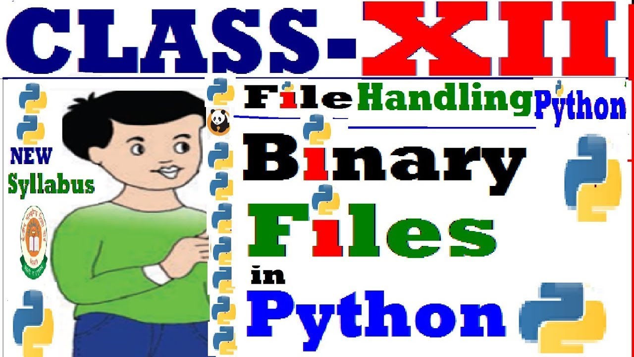 Grade 12: Binary Files in Python || File Handling in Python