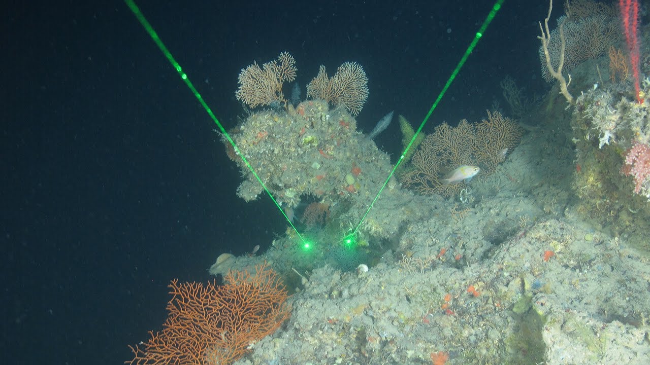 Exploring Deepwater Ecosystems with eDNA