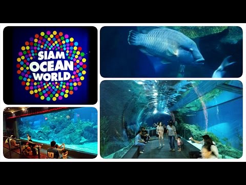 Siam Ocean World Video Tour | Thailand Explorer