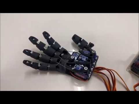 Flexible robot hand by KiyomasaKawagoe - Thingiverse