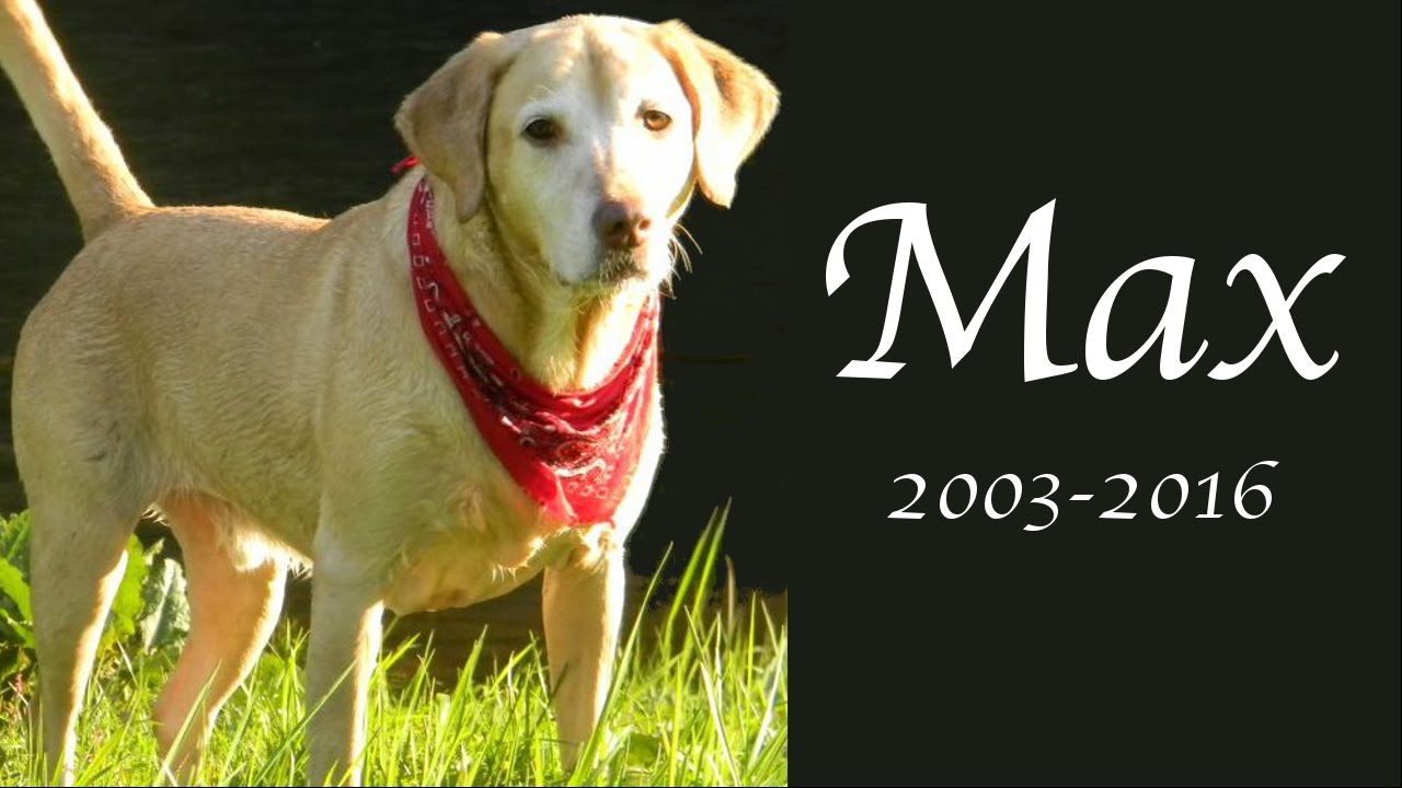 Remembering Max