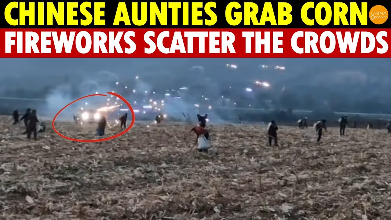 Chinese Aunties Rush for Corn Across the North, Dispersed by Fireworks ...