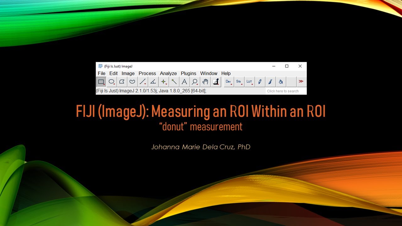 FIJI (ImageJ): Measuring an ROI within an ROI  [irregular donut measurement]