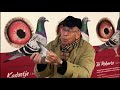 Racing pigeon website of Hans and Evert Jan Eijerkamp