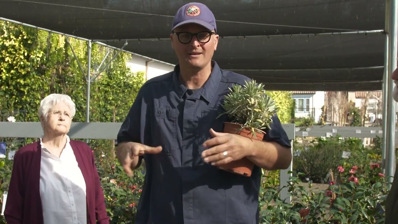 How to Prepare Your Garden for Wildfire
