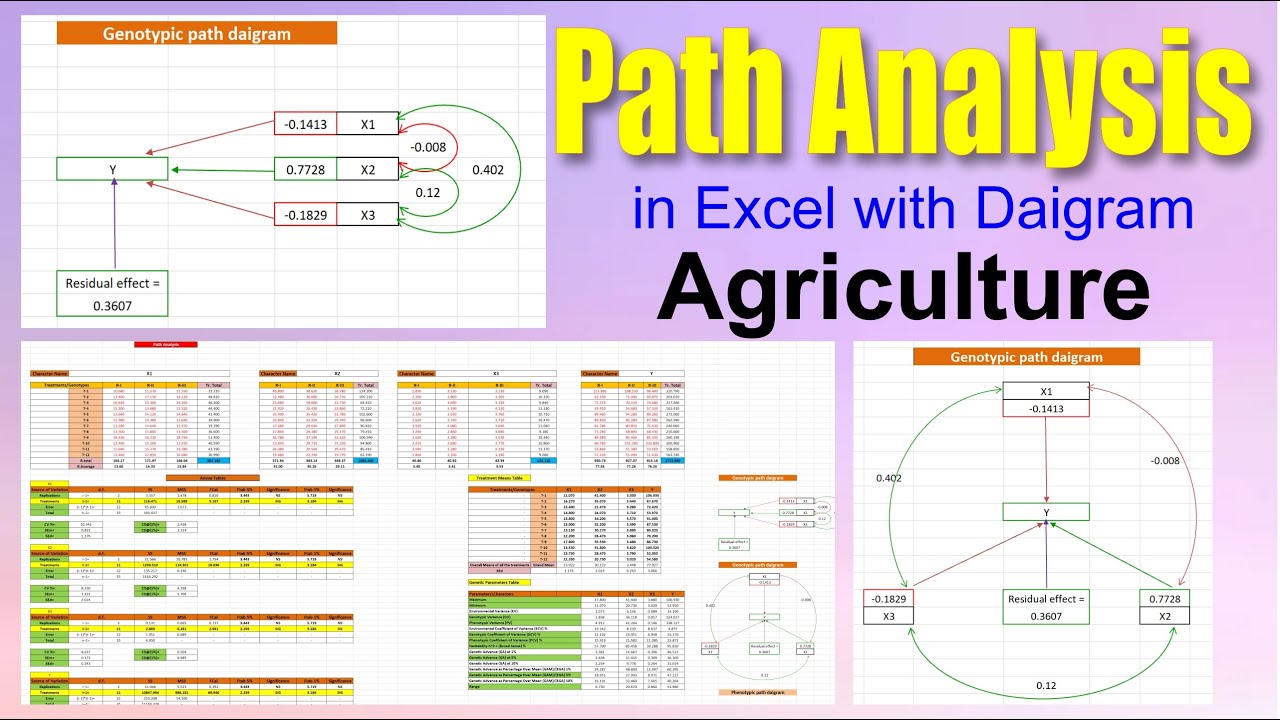 path analysis in genetics Path Analysis | Path Analysis in Genetics | Complete Guide with Examples