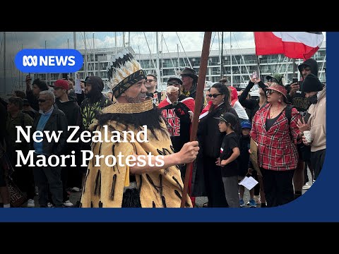 Maori protest descends on NZ parliament over treaty debate | ABC NEWS ...