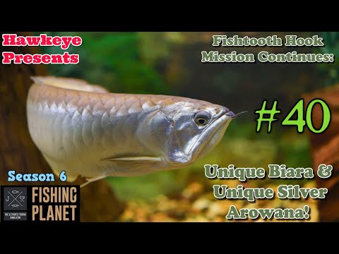 Steam Community :: Video :: Fishing Planet #40 - S6 | The Fishtooth ...
