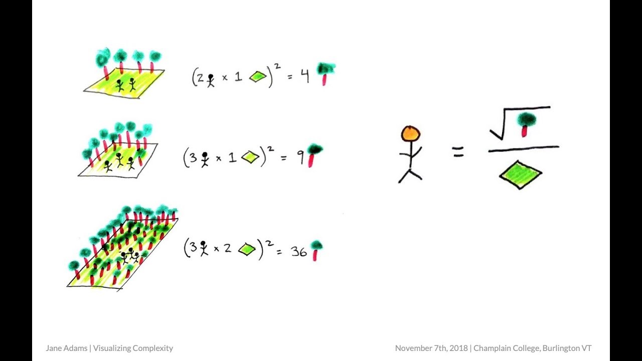 Visualizing Complexity with Jane Adams