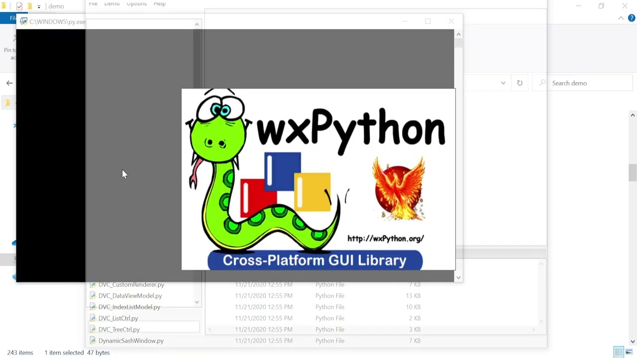 3 wxPython Widgets and wxPython Demo (wxPython Tutorial)