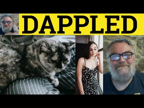 🔵 Dappled Meaning - Dapple Definition - Dappled Examples - CAE Vocabulary - Dappled Dapple - Light