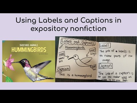 Using labels and captions in expository nonfiction books