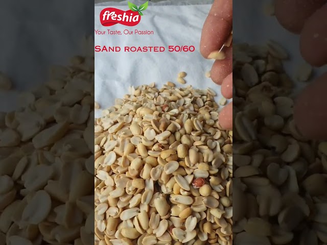 Roasted Peanut - Roasted Peanuts Near Me Manufacturer from Ahmedabad