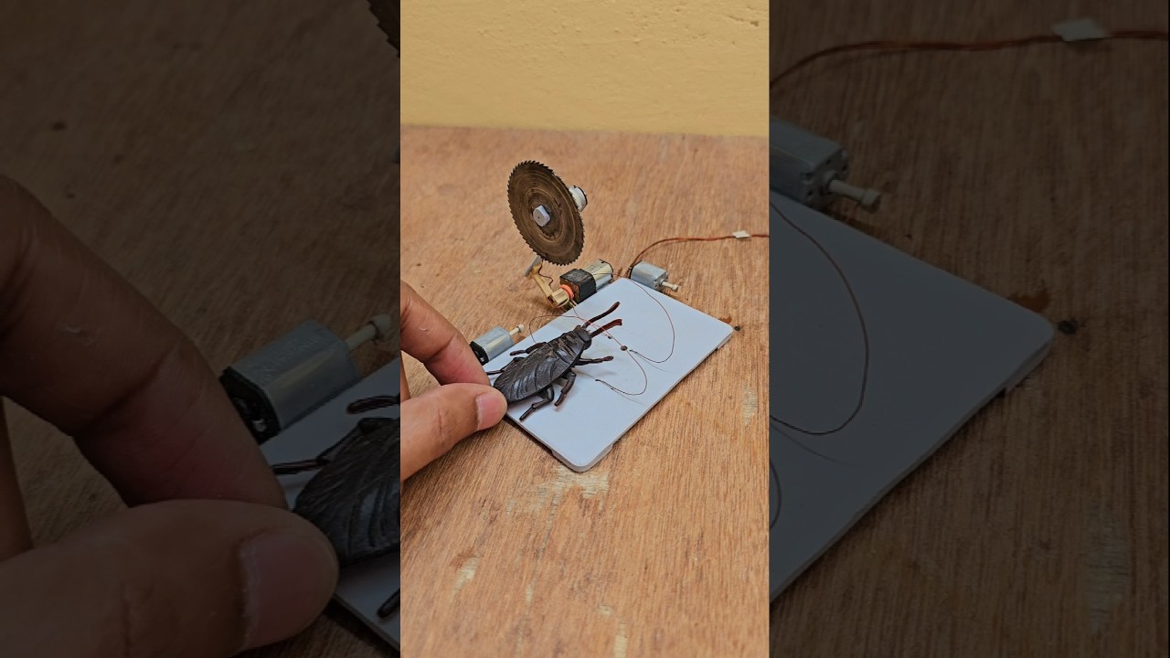 New Cockroach trap with blade arm #engineering #trap #bug trap #funny #cockroach