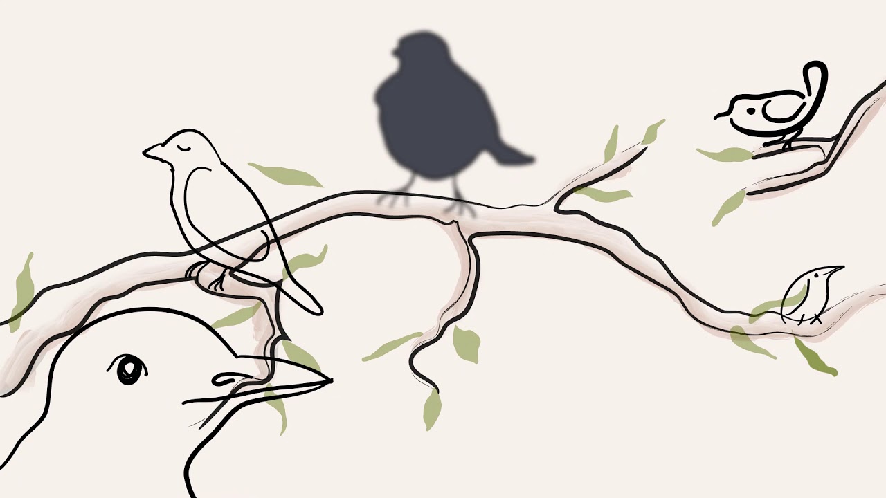 secuencia ramas con aves 1