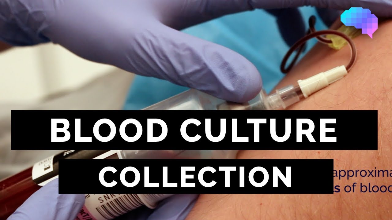 Blood Culture Collection - OSCE Guide | UKMLA | CPSA | PLAB 2