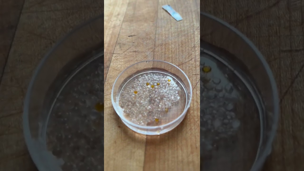 🤫Silica Gel Reaction on 💧Water #shorts #amazing #reaction #science