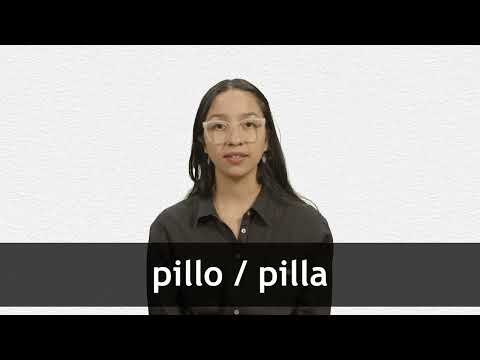 English Translation of “PILLO” | Collins Spanish-English Dictionary