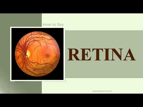 How to Say Retina In American English