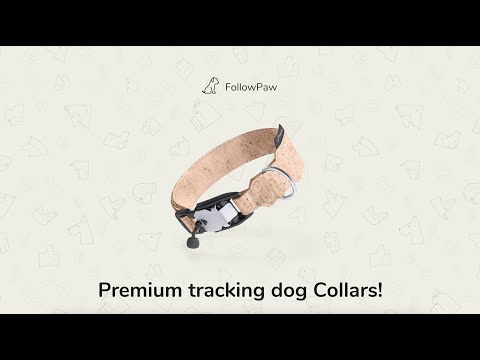 Apple AirTag Dog Collar