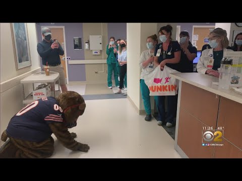 Staley Da Bear Honors Nurses