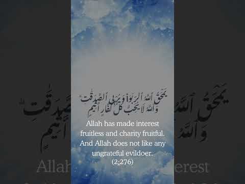 Holy Quran with English Translation | Beautiful Quran Verse for Guidance & Peace