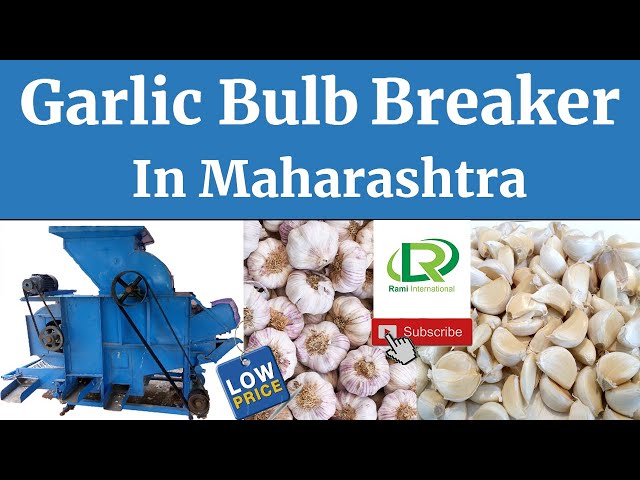 Garlic Bulb Breaking Machine - Garlic Breaking Machine Manufacturer ...