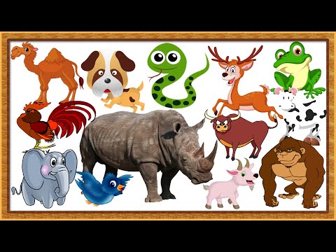 A to Z Animals | Animals Names And Sounds | Kids Learning
