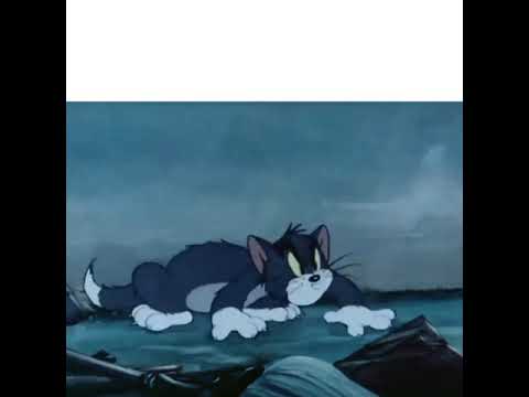 Tom cat slaps himself | Meme Template