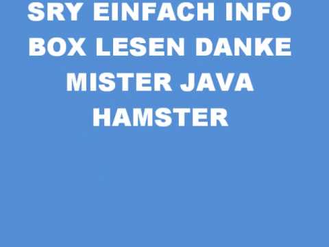 PROGRAMMIEREN LERNEN
