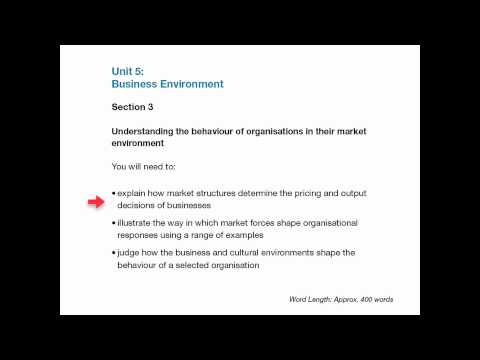Unit 5 Business Environment Assignment Level 5