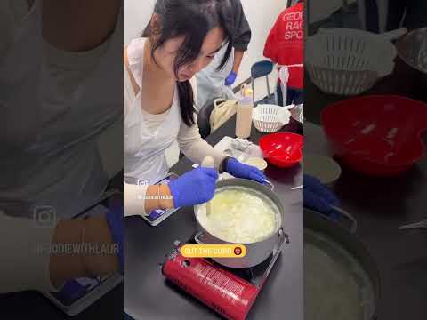 made cheese for my class (industrial microbiology)! #cheese #universitystudent #mastersstudent