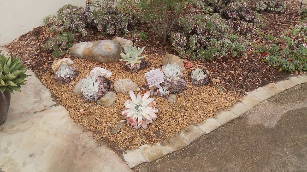 Santa Barbara Botanic Garden Microclimates