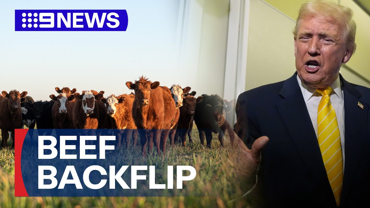 Trump backs down on tariffs, including on Australian beef | 9 News Australia