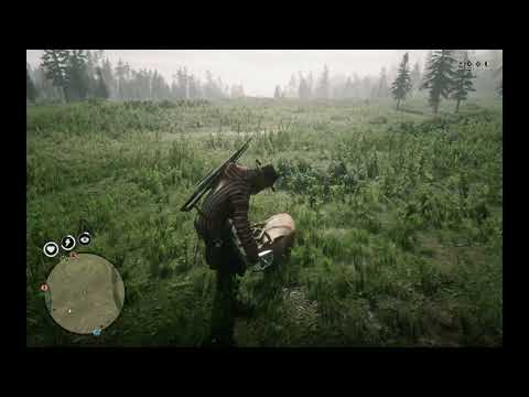 Steam Community :: Video :: Red Dead Redemption 2 Lasso Hunting