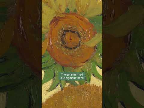 What does the colour yellow signify in 'Sunflowers'? 🌻 |#SHORTS | National Gallery