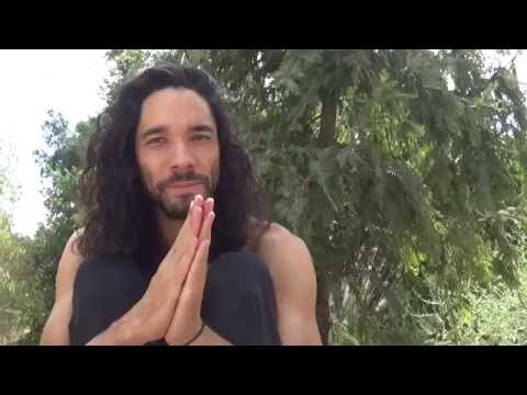 what is a vinyasa?