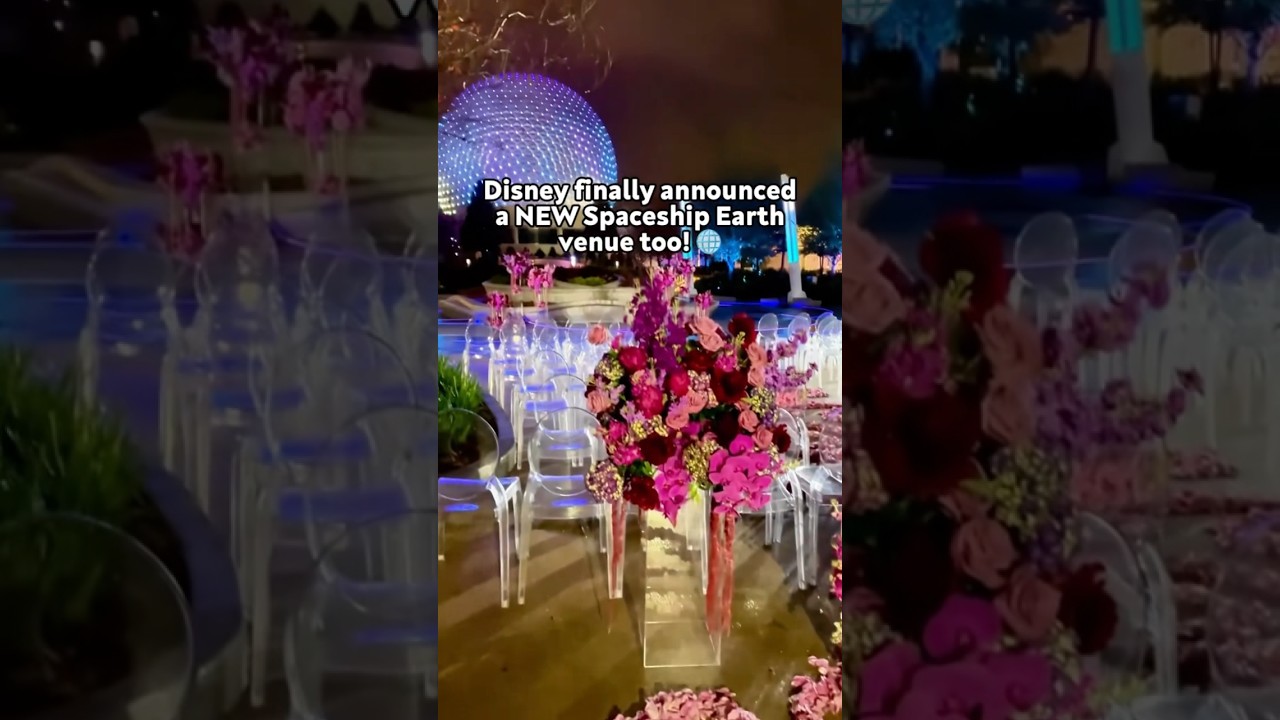 Mydisneyfix Disney Weddings рџ ђ Disney Disneywedding Dfbguide