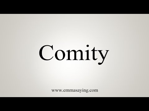 How To Say Comity