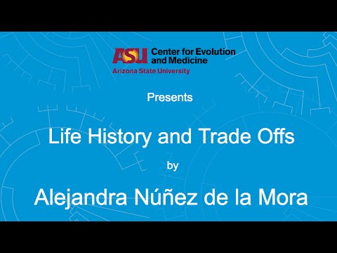 Life History and Trade Offs | Alejandra Núñez de la Mora