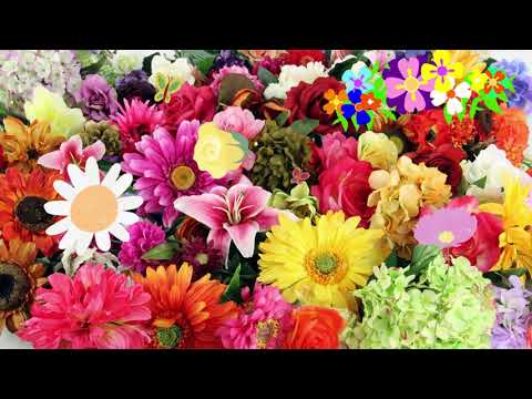 Why are flowers so colourful and fragrant? Science for Kids in 1 Minute!