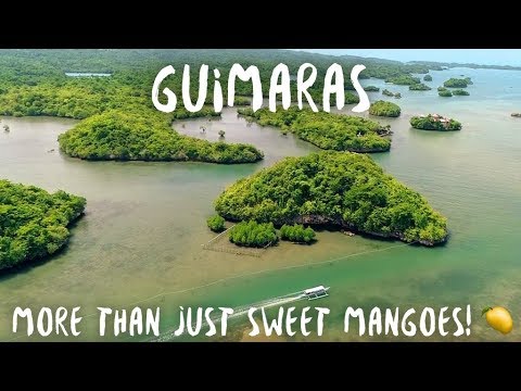 2019 Guimaras congressman, governor, vice governor, board members ...