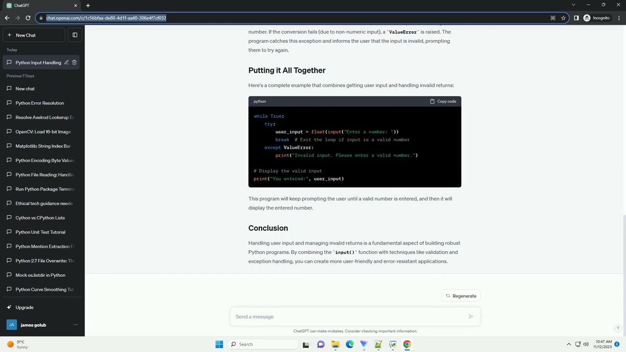 Python User Input and Invalid returns