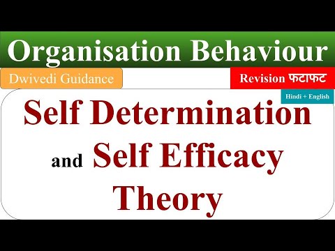 Self Efficacy Theory of motivation in hindi, self determination theory of motivation, OB, revision