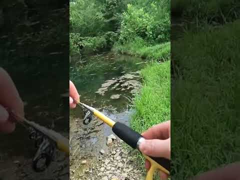 20 dollar Walmart fishing rod #shorts