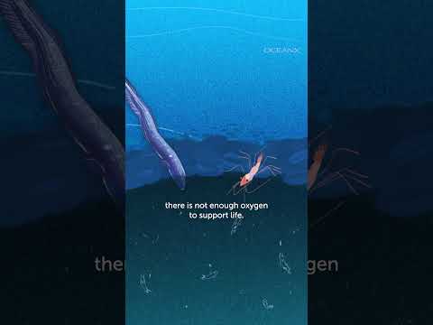 How Do These Deadly Lakes Form on the Ocean Seafloor?