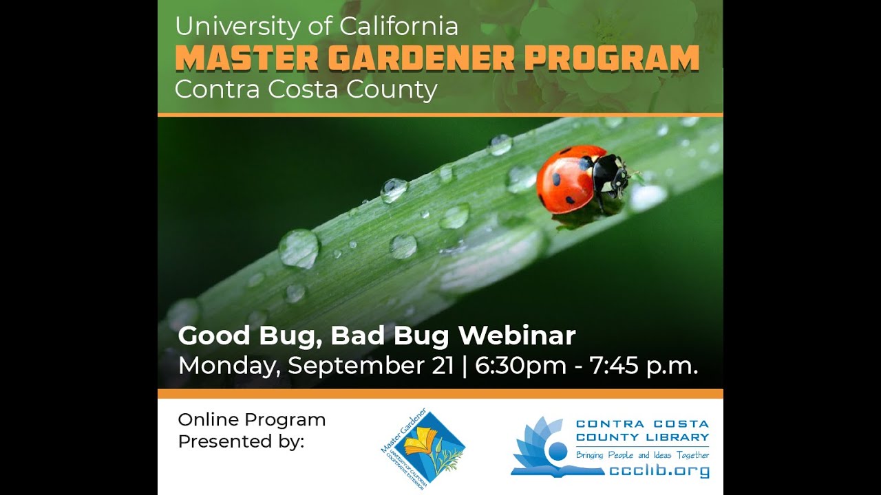 UC Master Gardeners: Good Bug, Bad Bug Webinar